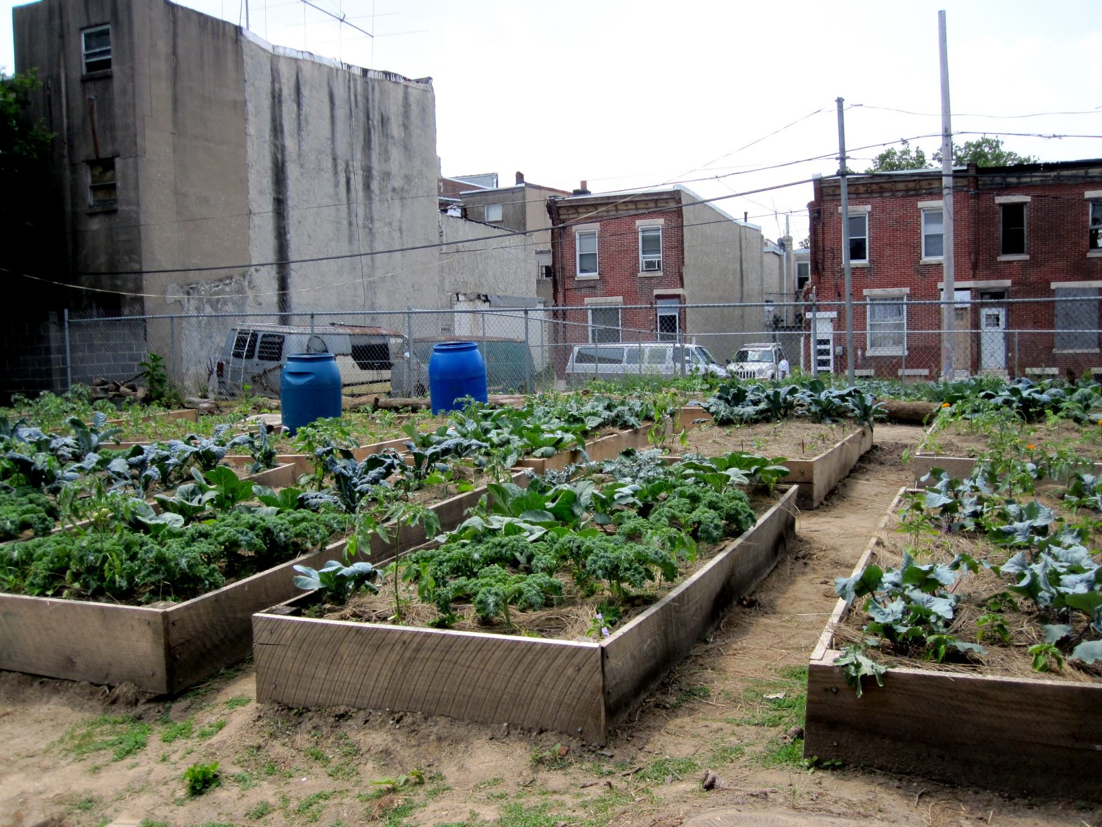 South Philadelphia: “Growing Home” Project Provides Refugees With a ...
