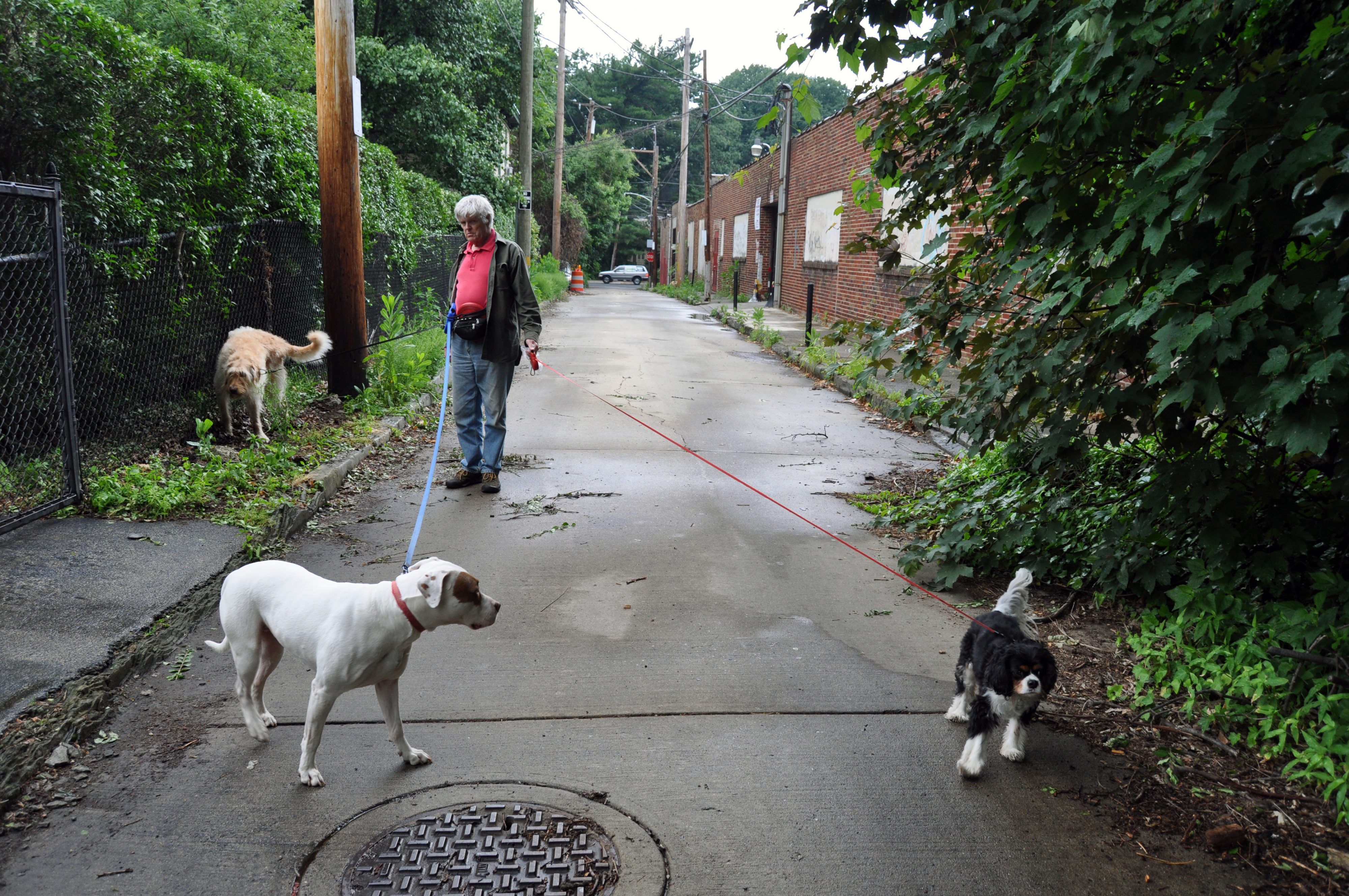Germantown: An Urban Community for the Future? - Philadelphia Neighborhoods