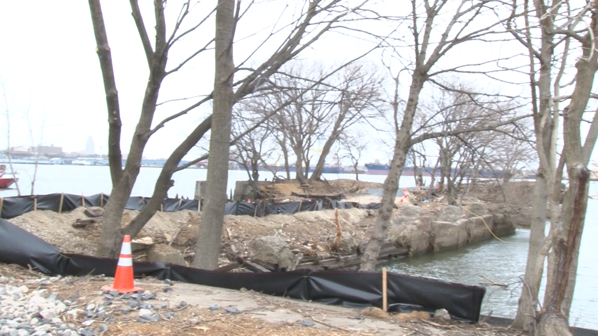 Pennsport: Restoring The History Of Pier 53, One Tree At A Time ...