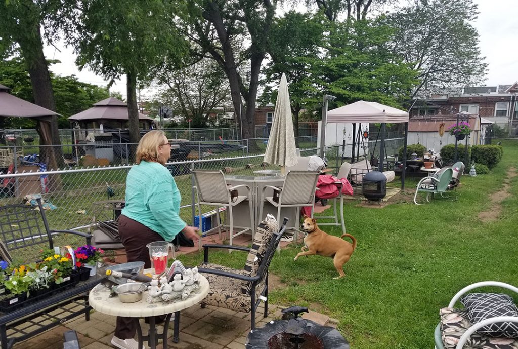 Juniata Park: Different But Still a Place to Appreciate - Philadelphia ...