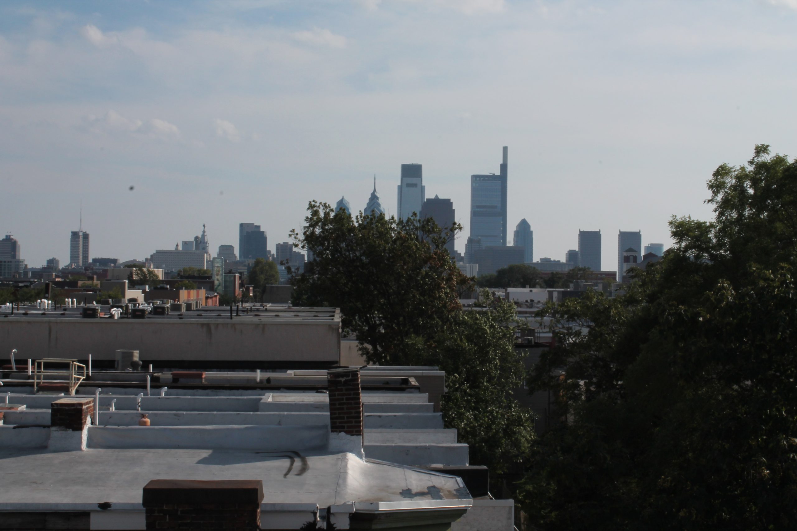 Environment: How One Local Organization Supports Community Gardens ...