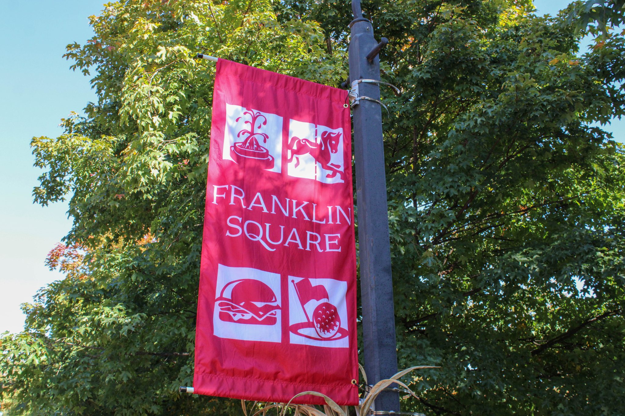 Fairmount Park Conservancy: The Organization Keeping Philly Parks Alive ...