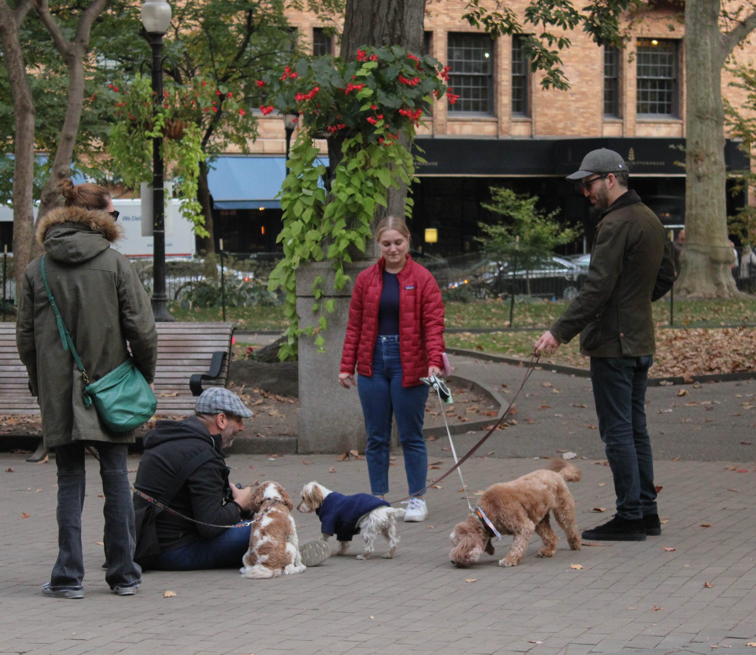 Public Parks; The Key to Giving Big Cities Life - Philadelphia ...